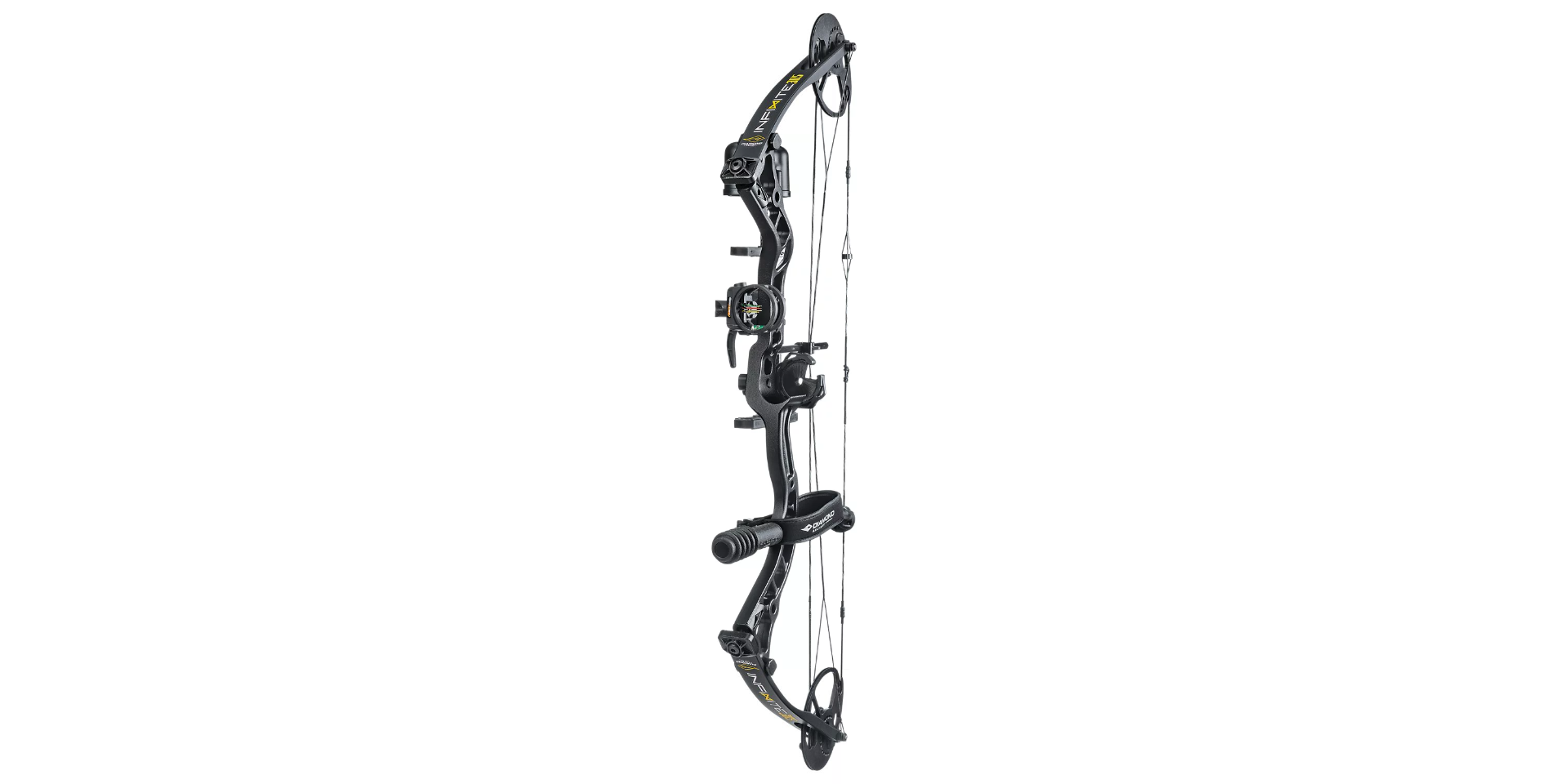 Best Compound Bows of 2024 for Hunting and Survival
