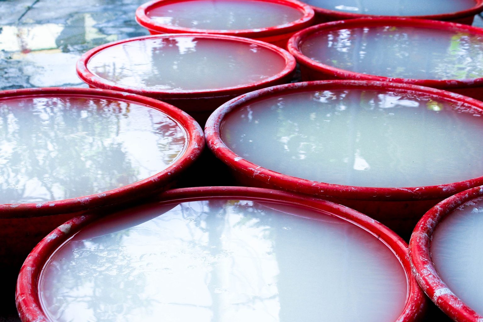 9 Best Water Storage Containers for Preppers in 2025